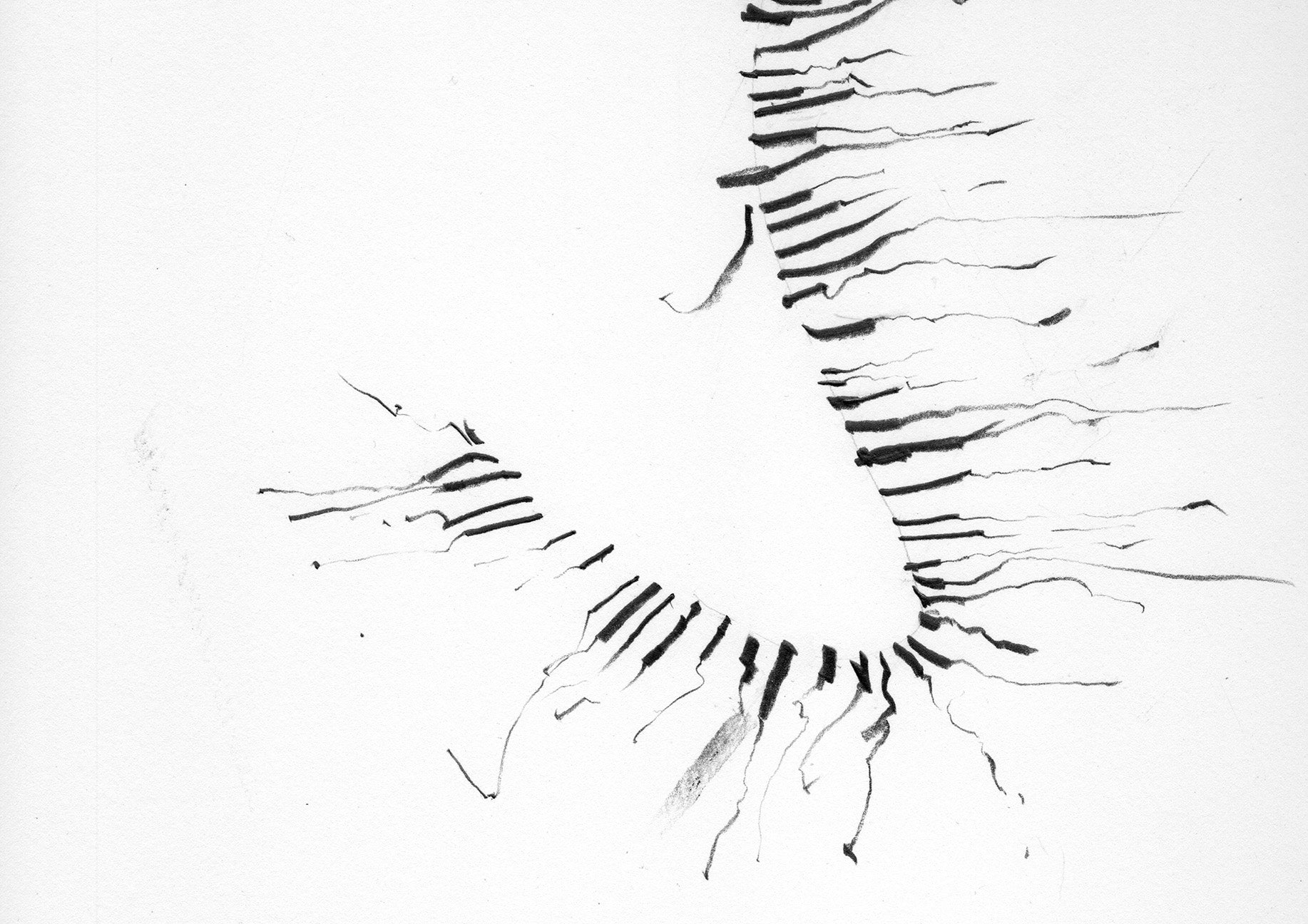 STUDIO: INCREMENT DRAWING — Galvin Brothers